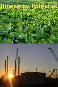 Energy to Bioenergy Advantages & Disadvantages - biofuelspk